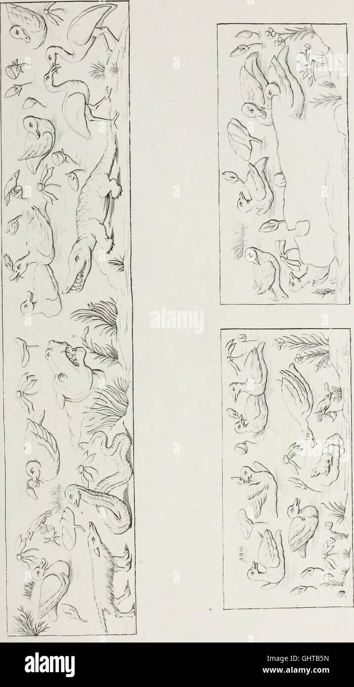 This 1876 collection showcases the most beautiful and significant ...