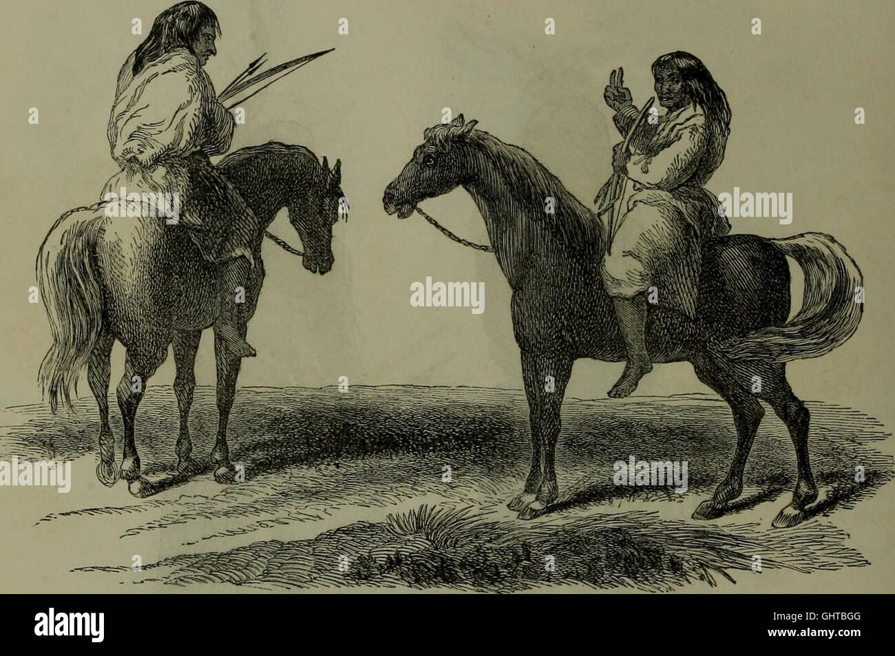 The 1855 reports document explorations and surveys conducted to ...