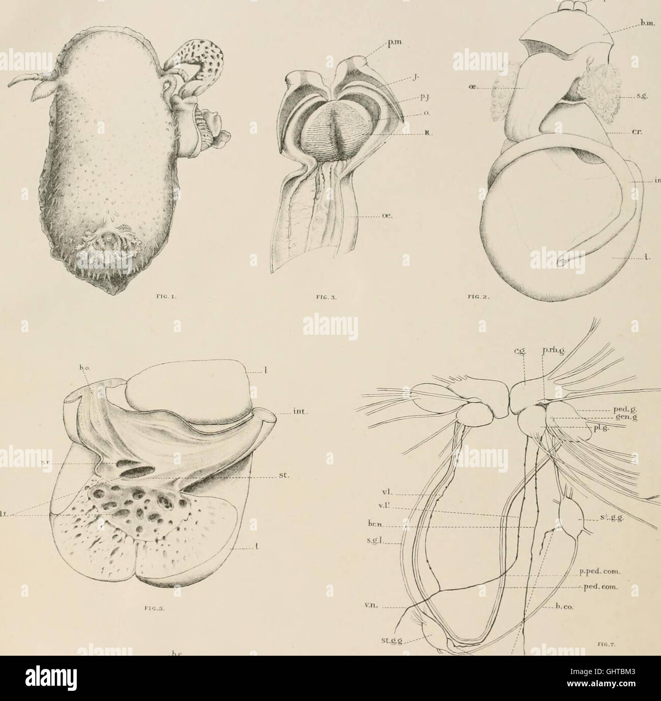 This 1920 report documents the scientific findings from the S.Y ...