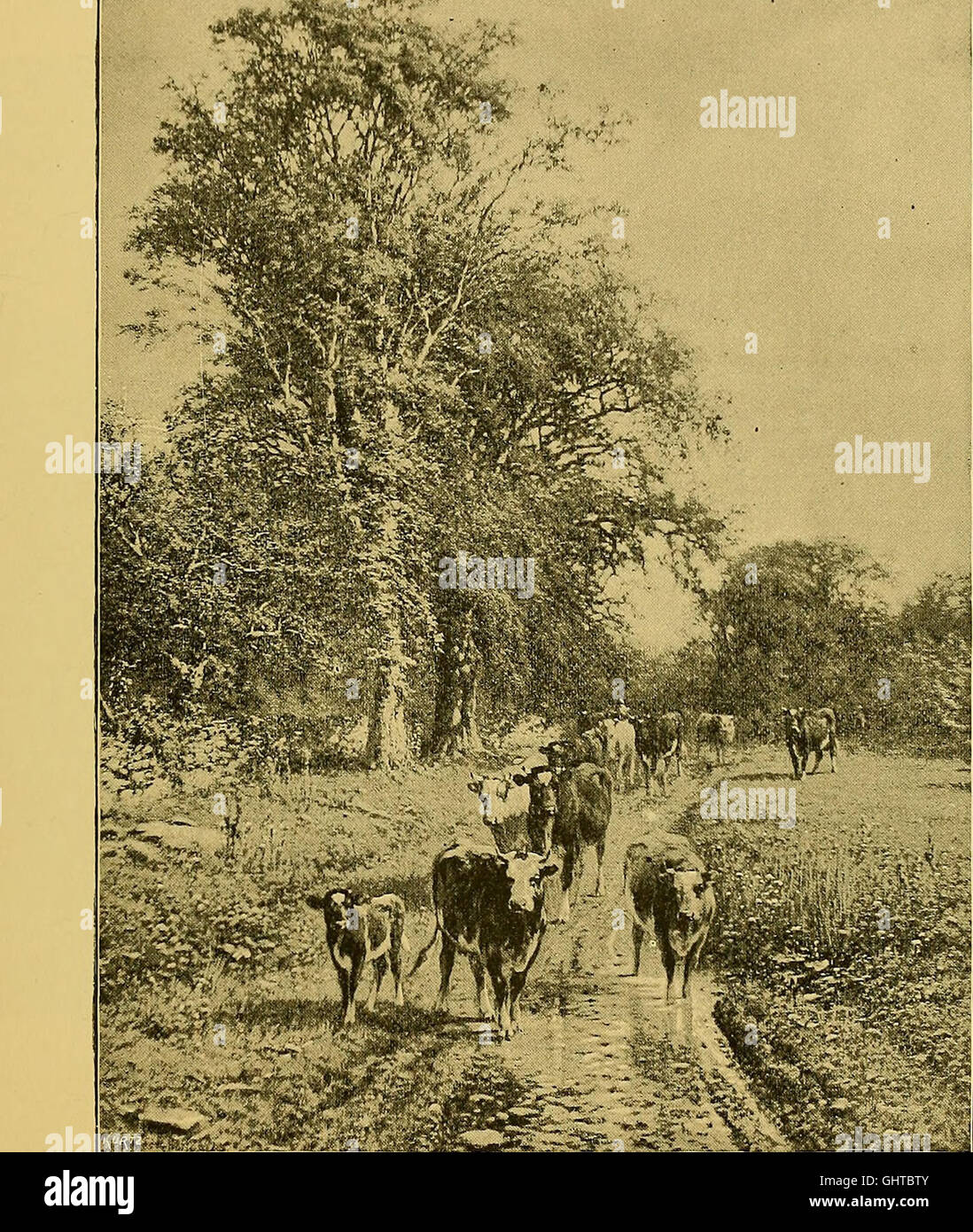 This 1888 work examines the evolution of art and its key figures during ...