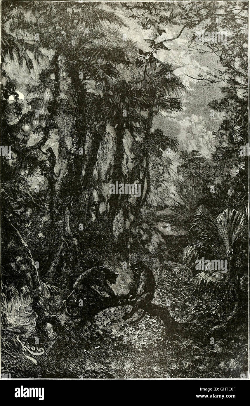 *Ridpath's Universal History* offers a broad account of human ...