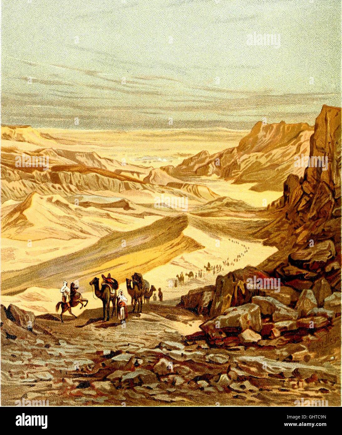 This work offers a comprehensive history of the origin and development ...