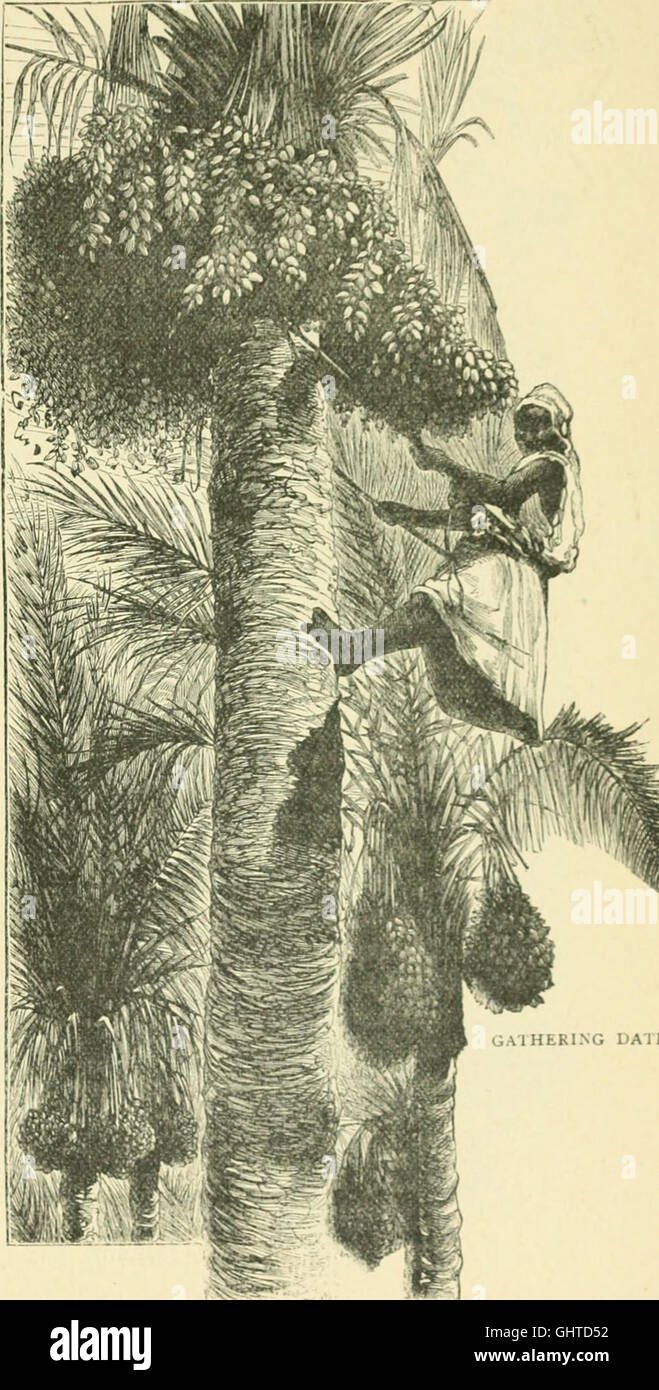 This 1890 account shares experiences from seven years of missionary ...