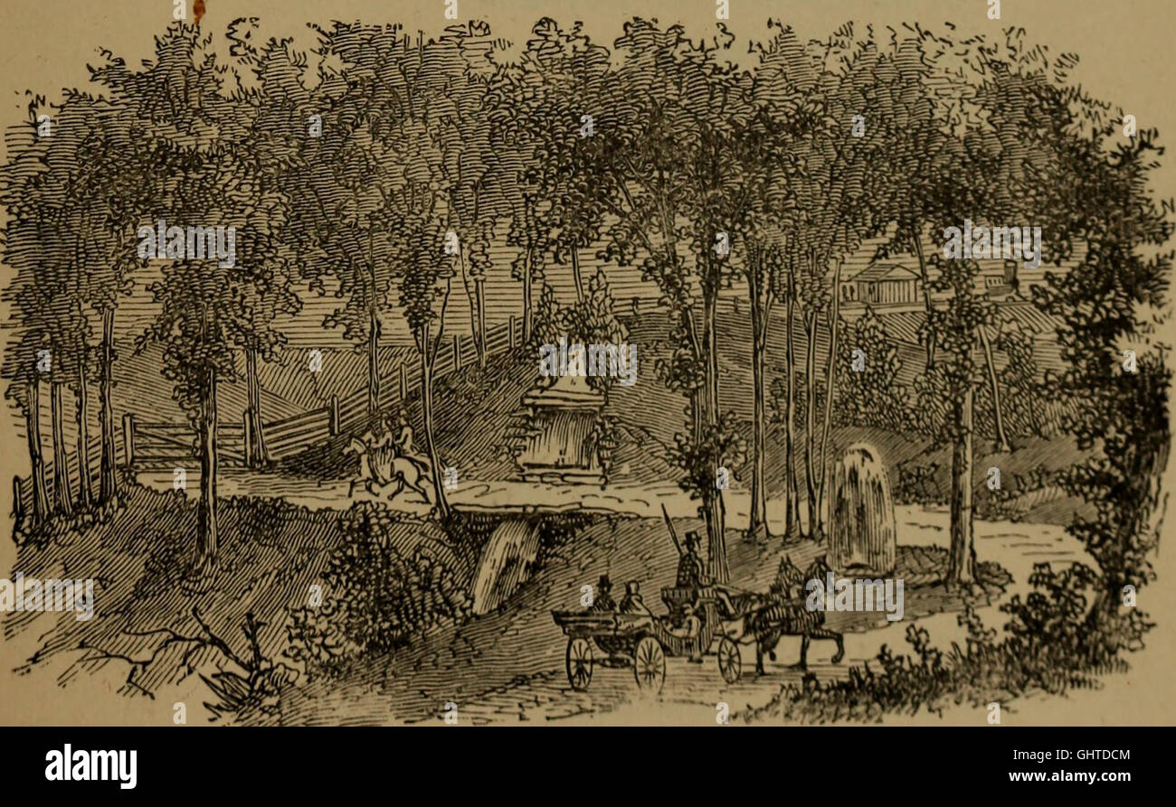 Pleb hi-res stock photography and images - Alamy