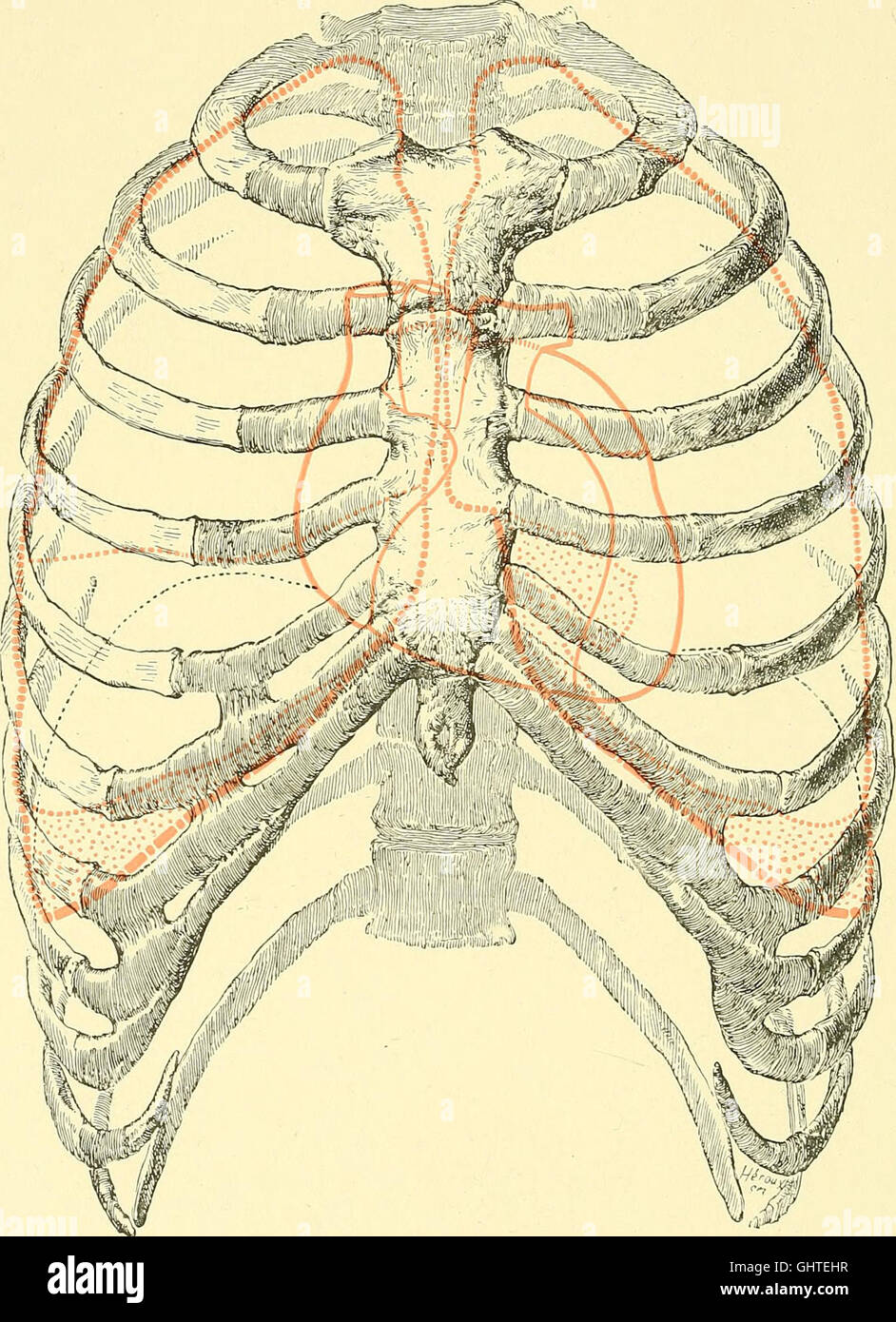 *Text-Book of Operative Surgery* (1911) is a comprehensive medical ...