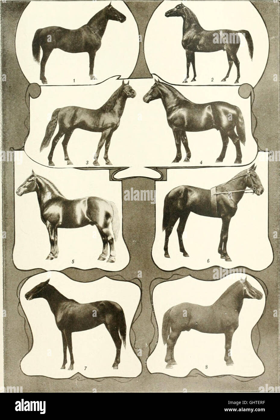 A 1908 reference work covering a broad range of topics, including arts ...
