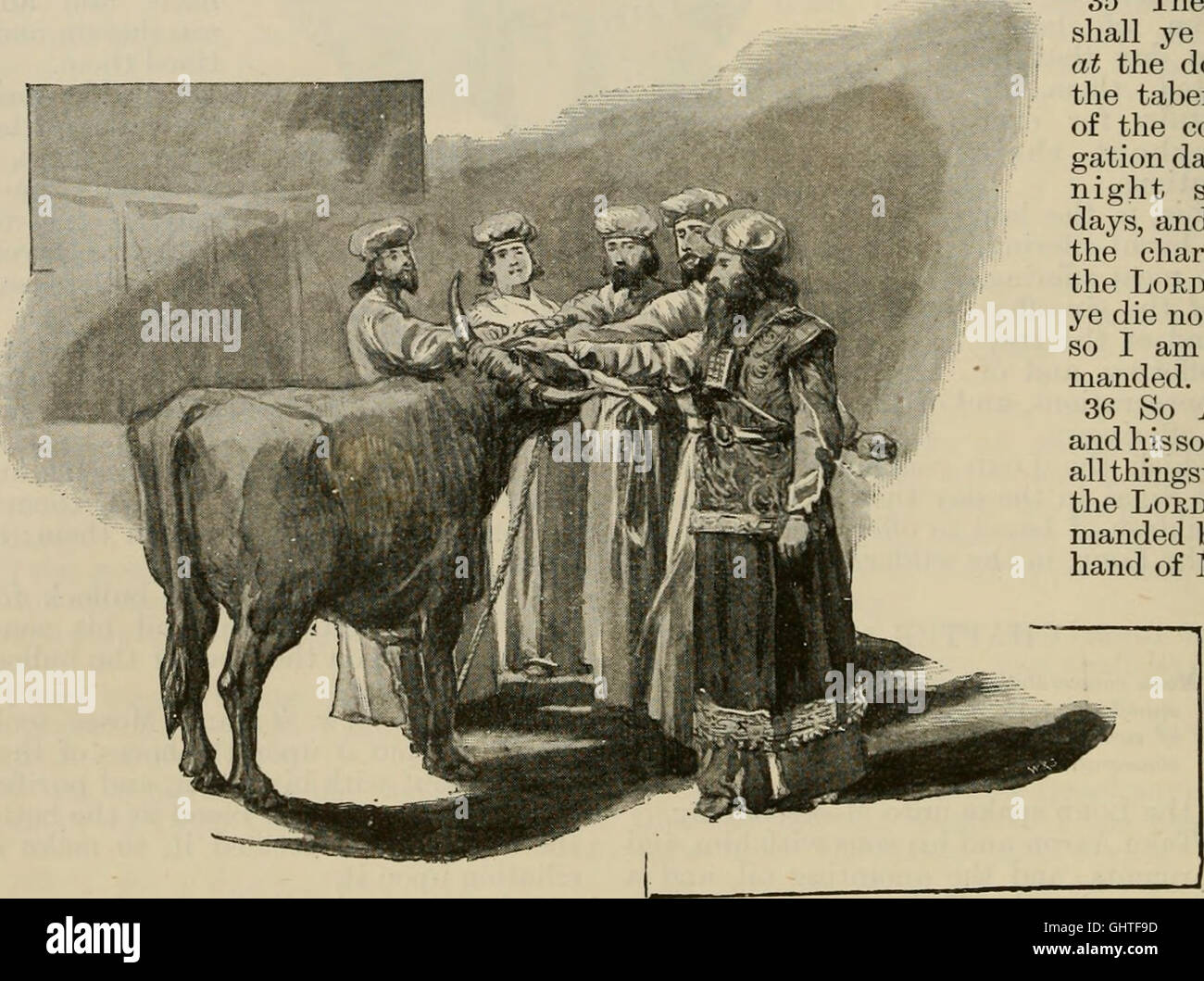 'The Art Bible' (1896) includes illustrated versions of both the Old ...