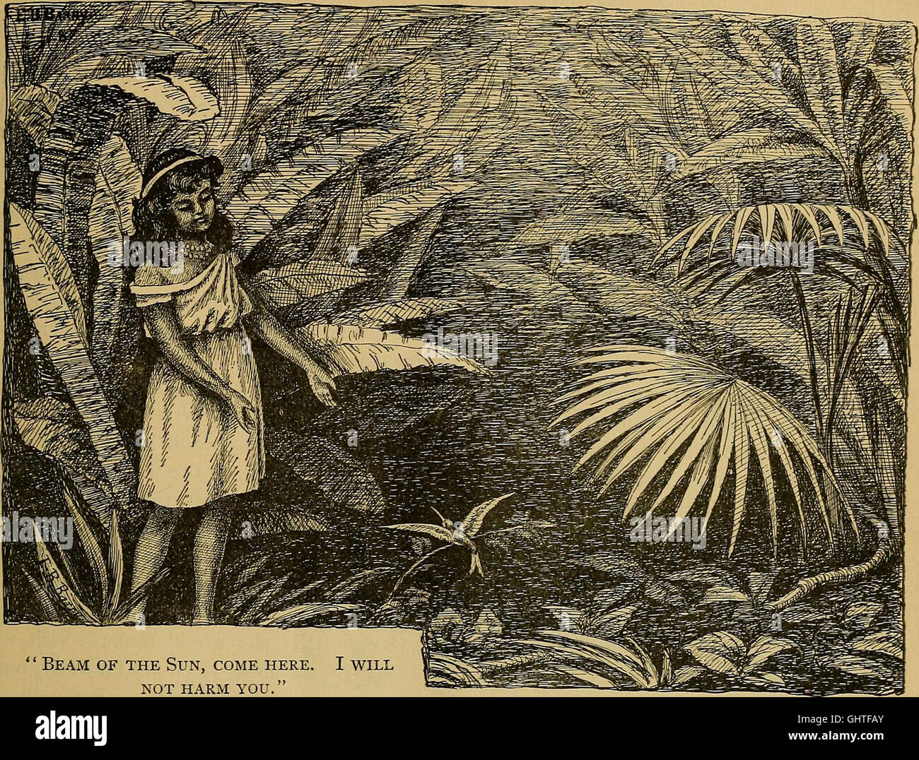 The 1887 edition of The Audubon Magazine focuses on the study of birds ...