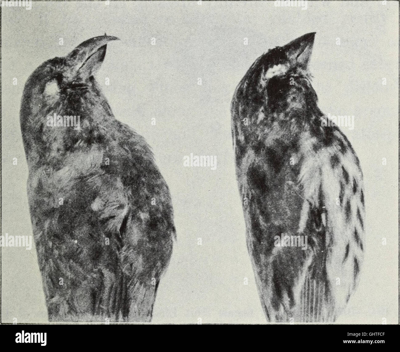 This 1906 book explores the physical structure and biological functions ...