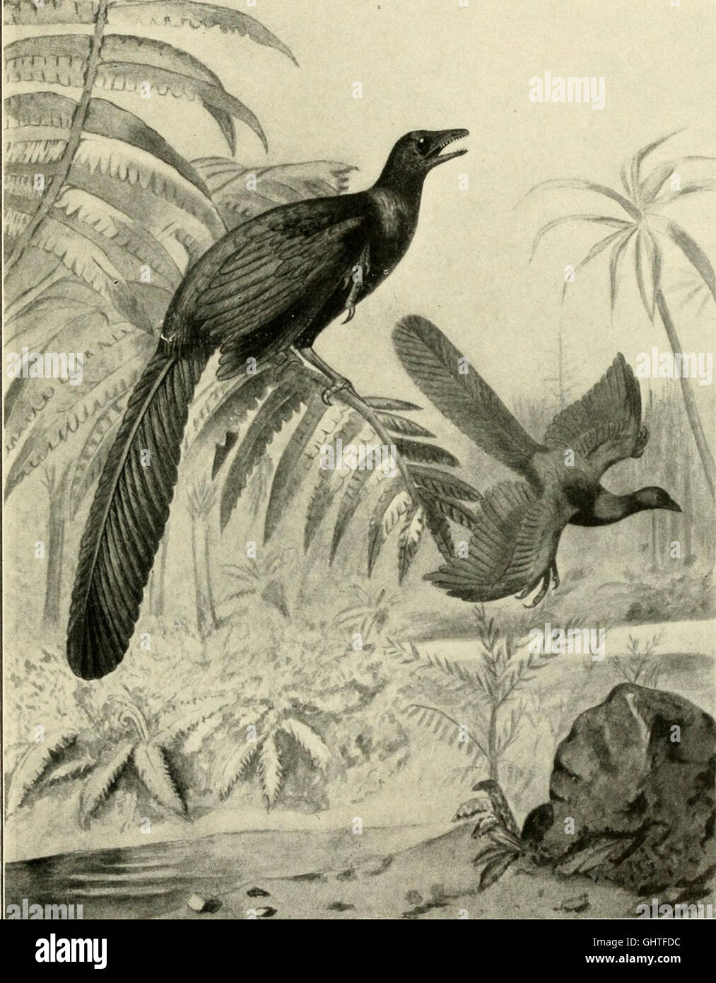 This work explores the physical characteristics and functional aspects ...