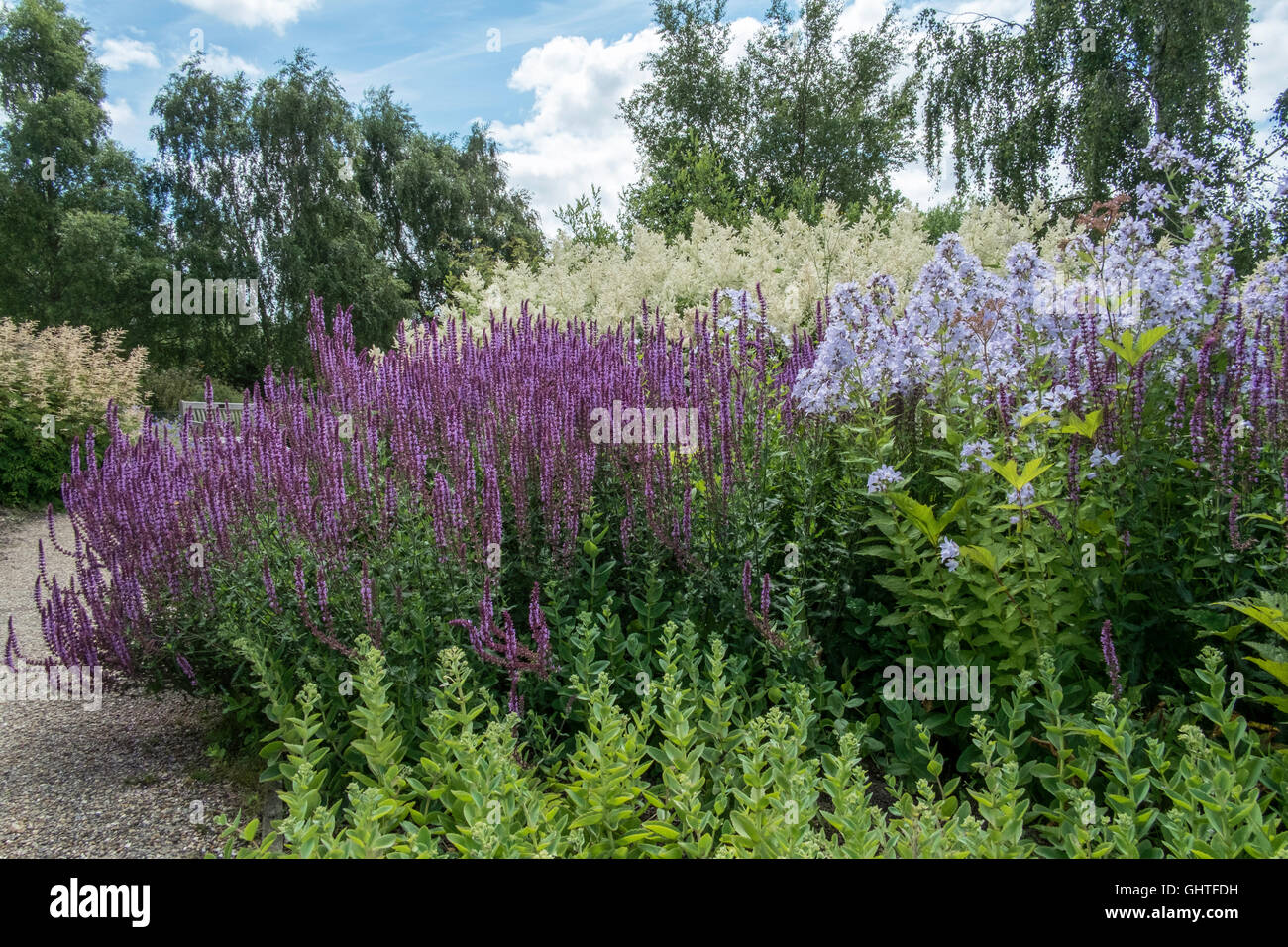 Mixed perennials in a Millennium Garden Stock Photo - Alamy