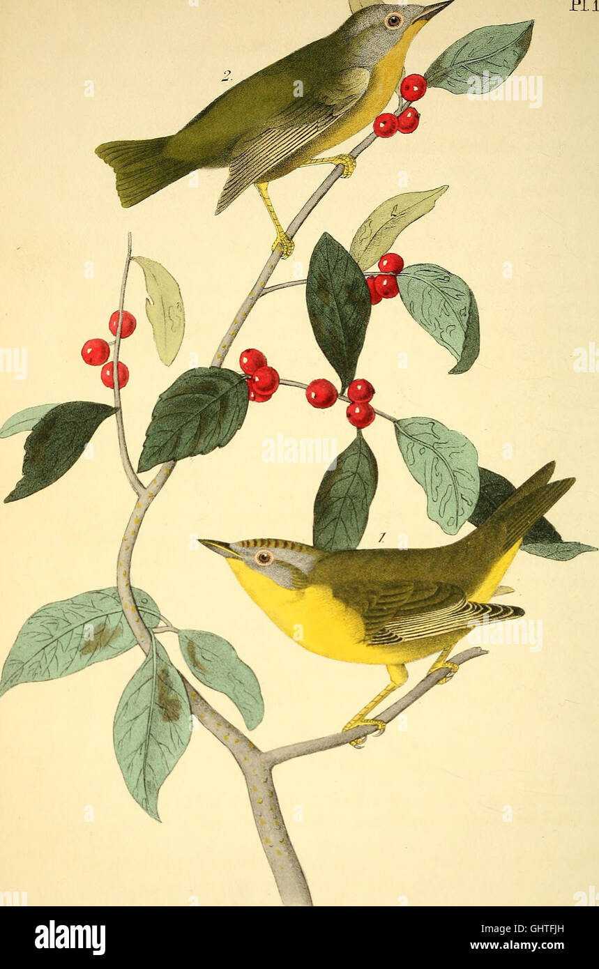 A significant work from 1840 featuring detailed drawings and ...