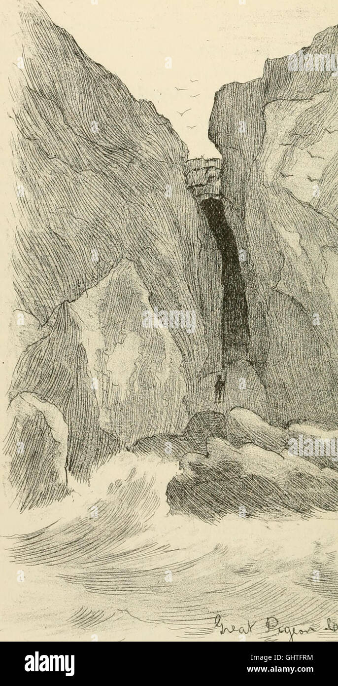 This 1890 work documents the bird species of Iona and Mull, two ...