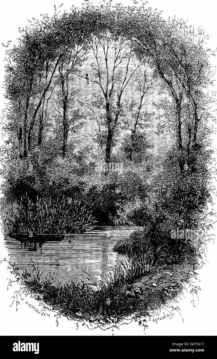 The Bird, published in 1869, is a work that explores the nature and ...