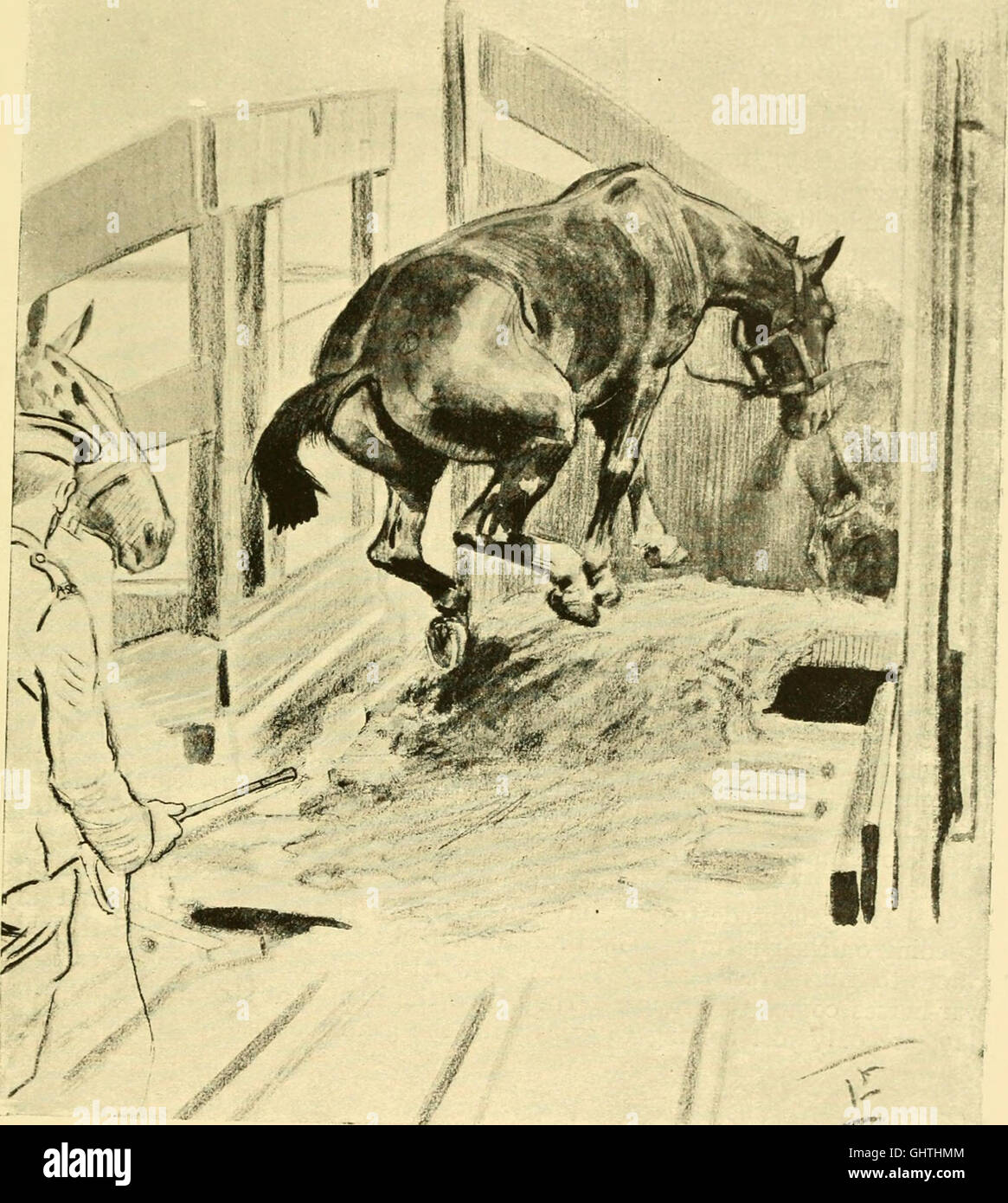 'The Horse and the War' (1918) focuses on the crucial role horses ...
