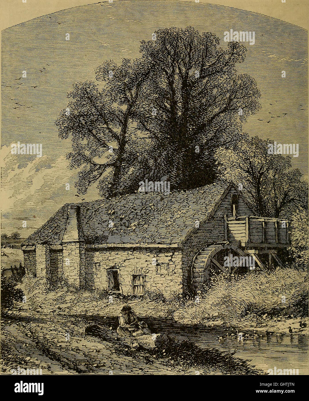 The 'Norfolk Virginian’s Annual' (1883) is a yearbook that features a ...