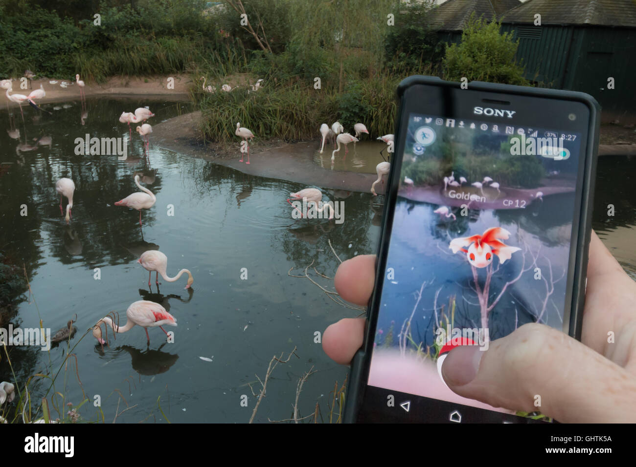 Zoo animals enclosure hi-res stock photography and images - Alamy