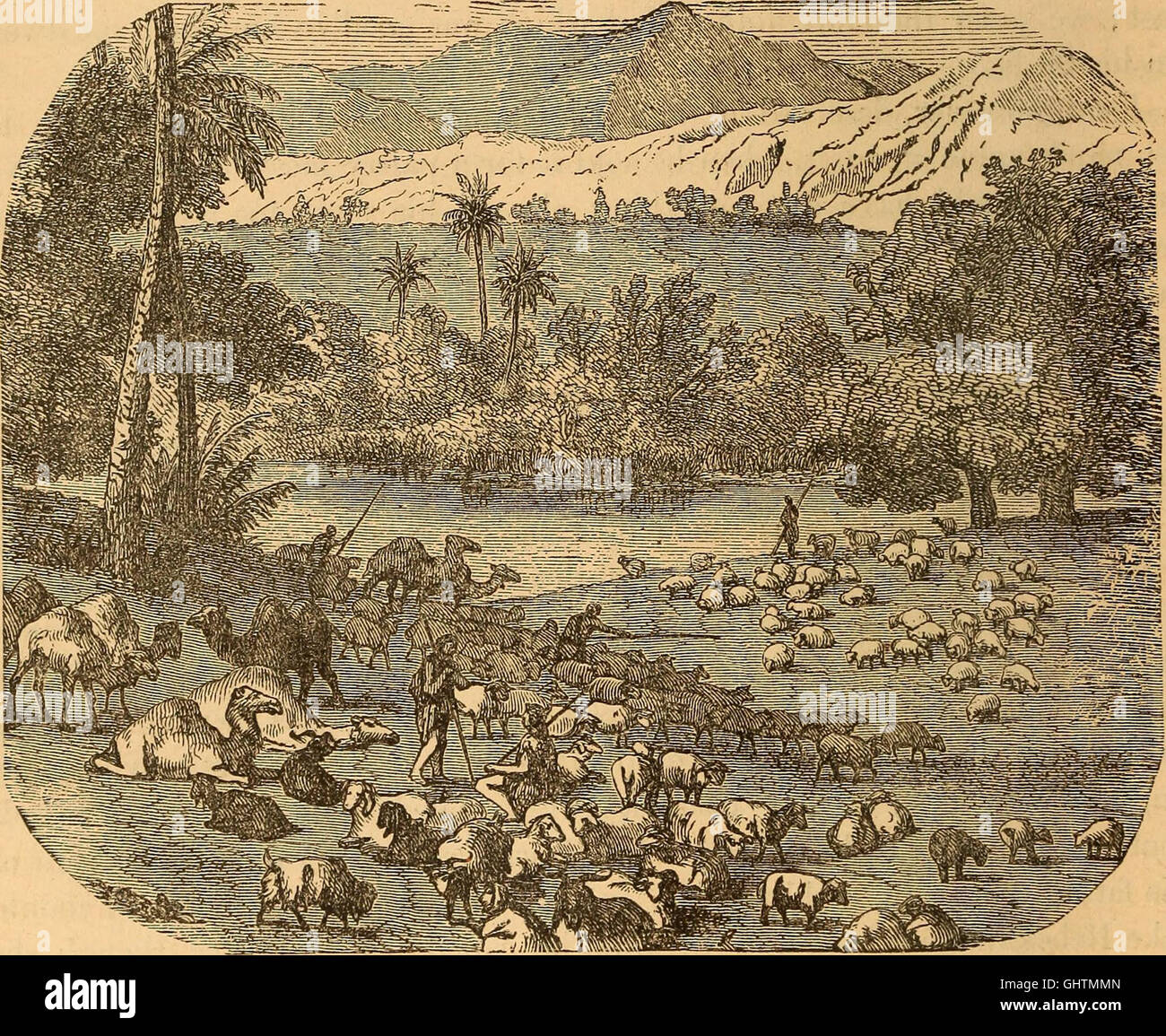 'The Pictorial Bible and Commentator' (1878) is an illustrated edition ...