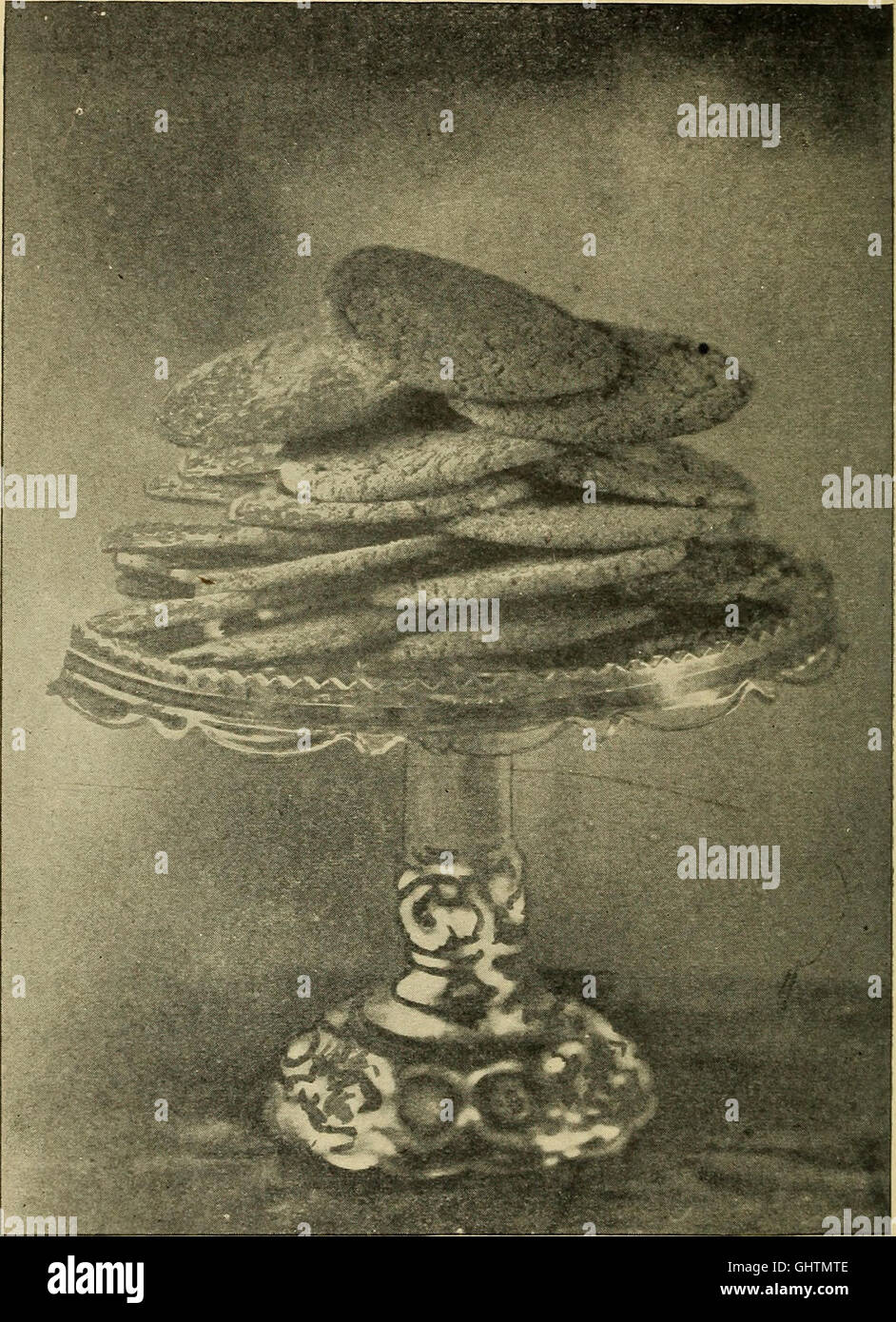 The pride of the household; the bakers' complete management (1900 Stock ...