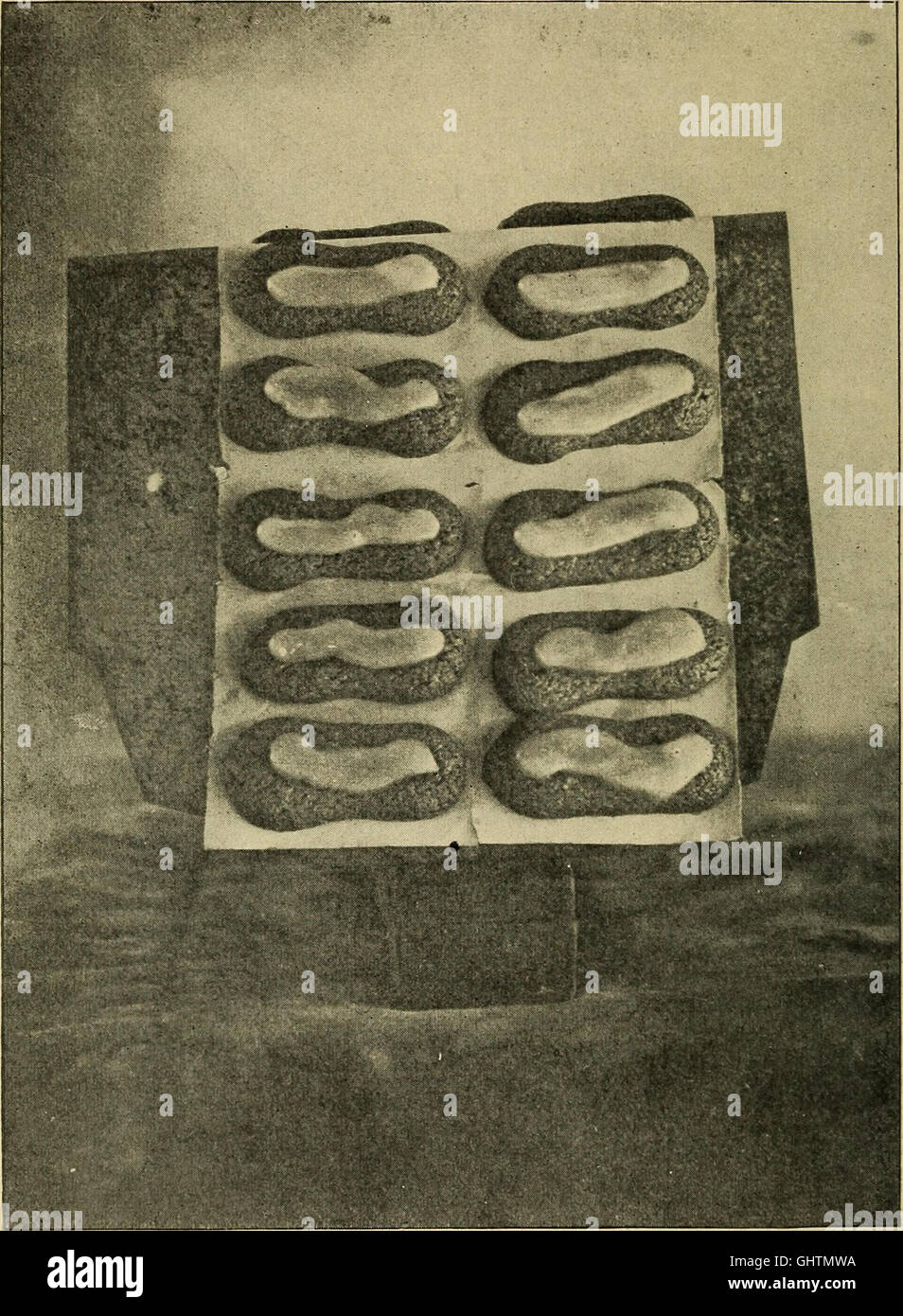 The pride of the household; the bakers' complete management (1900 Stock ...