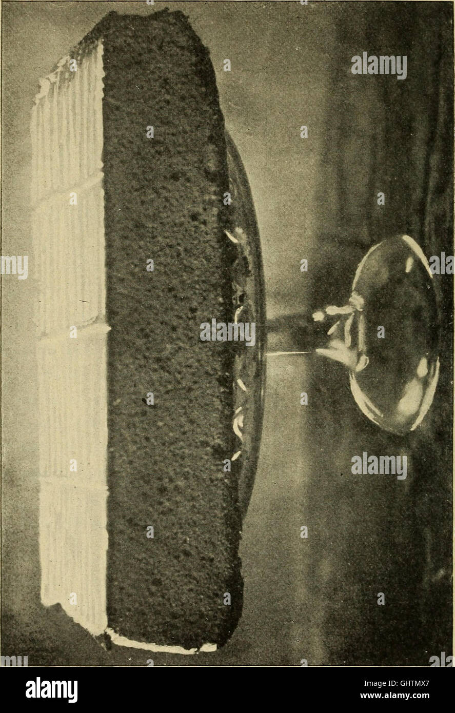 The pride of the household; the bakers' complete management (1900 Stock ...