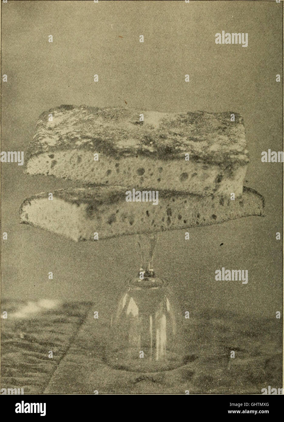 The pride of the household; the bakers' complete management (1900 Stock ...