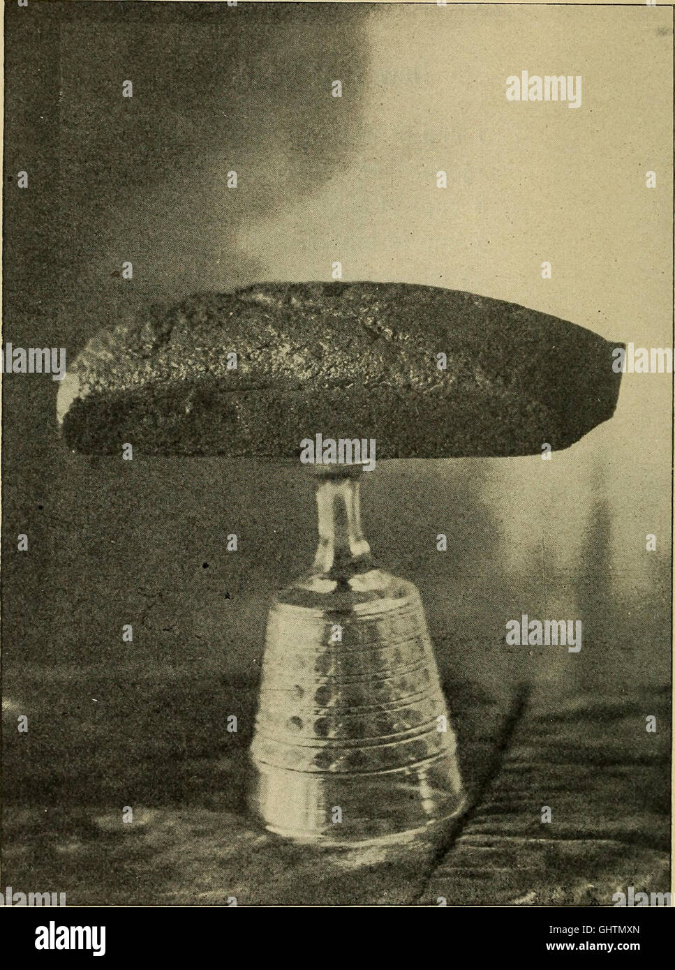 This 1900 work provides a comprehensive guide for bakers on managing ...