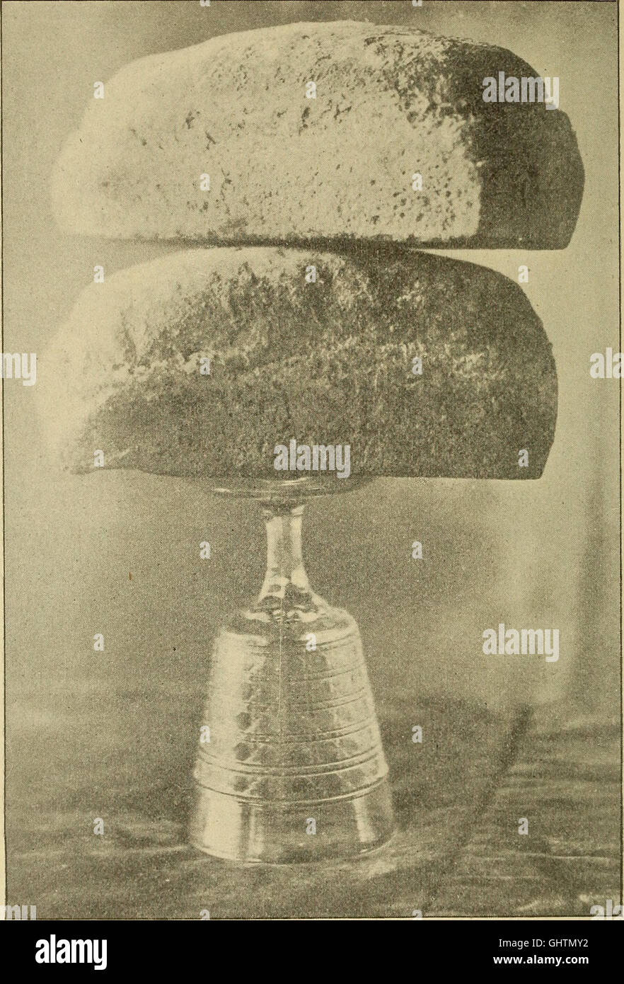The pride of the household; the bakers' complete management (1900 Stock ...
