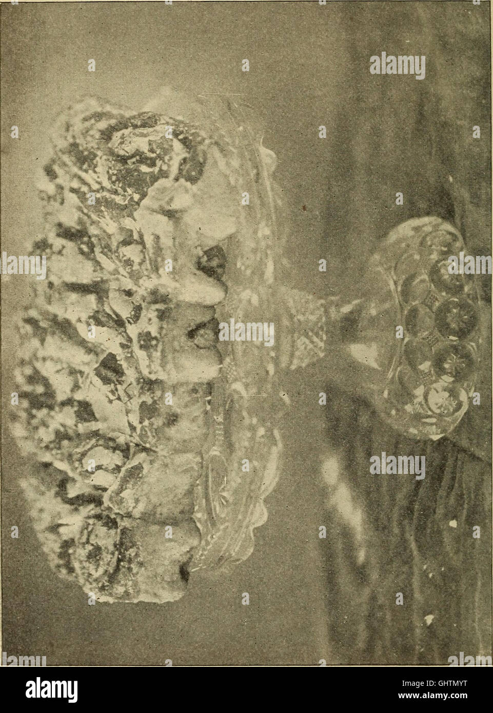 The pride of the household; the bakers' complete management (1900 Stock ...