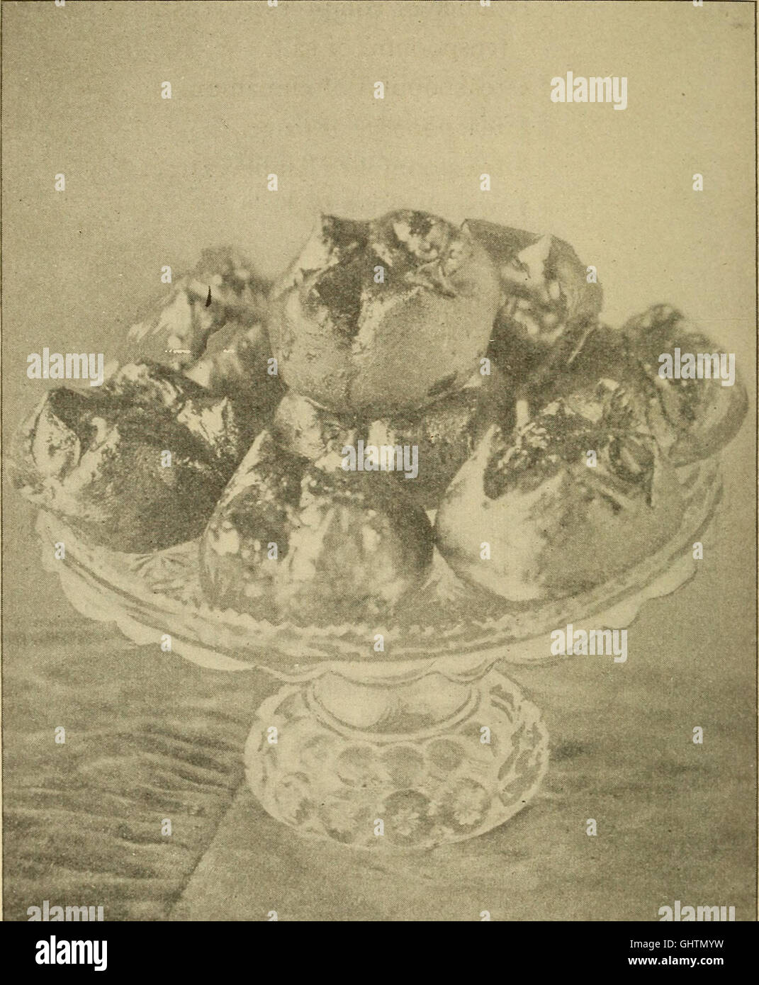 'The Pride of the Household; The Bakers' Complete Management' (1900) is ...