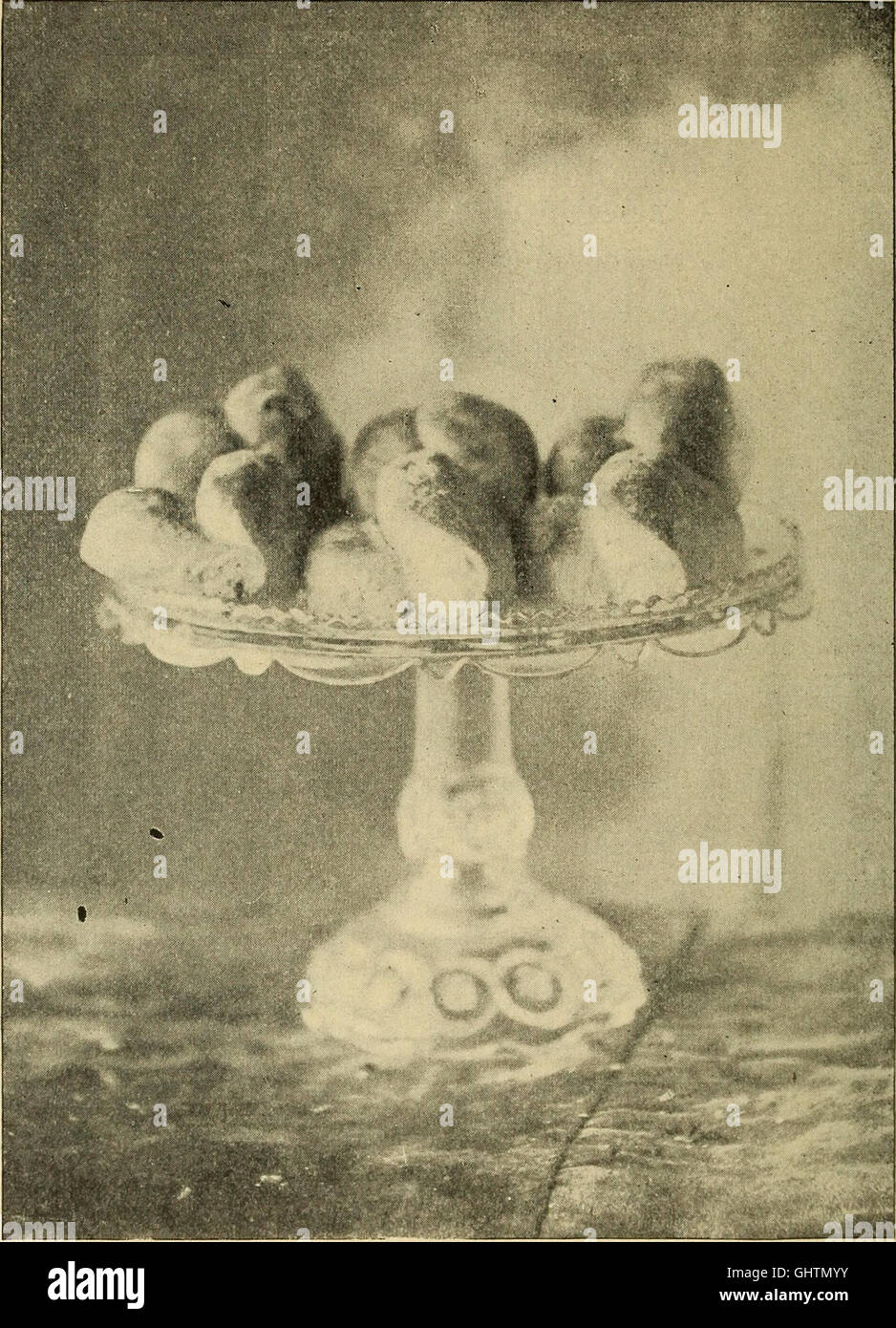 The pride of the household; the bakers' complete management (1900 Stock ...