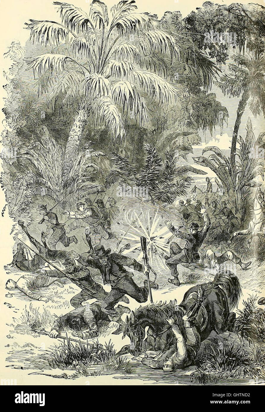 This pictorial history of the American Civil War, published between ...