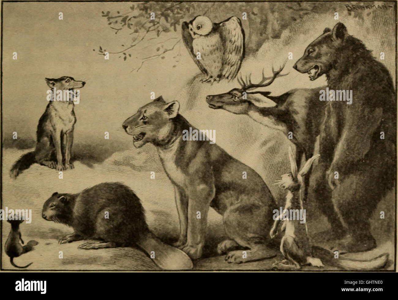 'The Spanish in the Southwest' (1903) is a historical work detailing ...