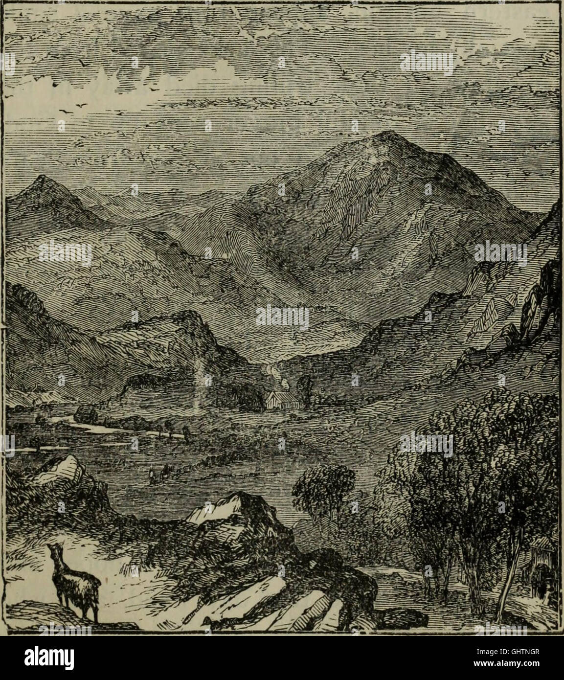 Mary jones hi-res stock photography and images - Alamy