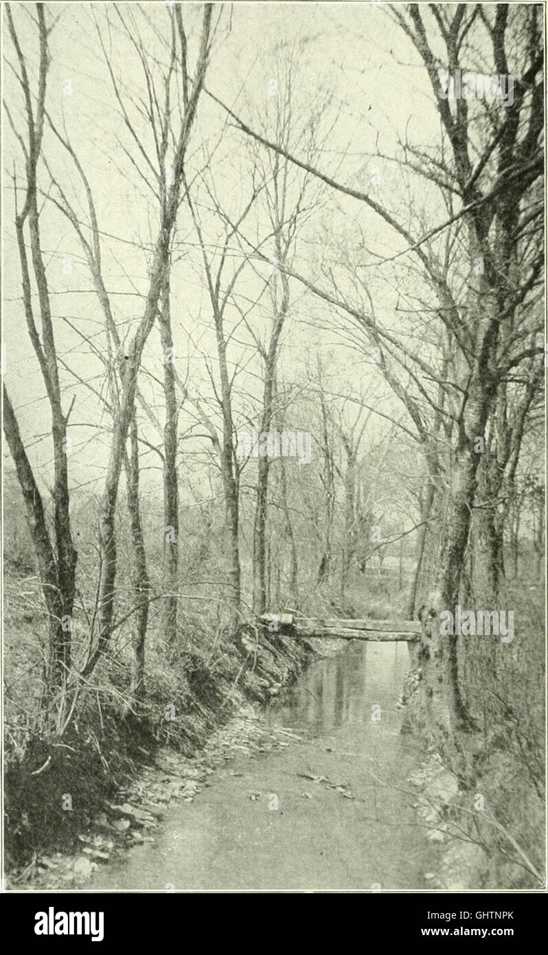 The 1910 magazine 'The Suburbanite' discusses suburban living, focusing ...