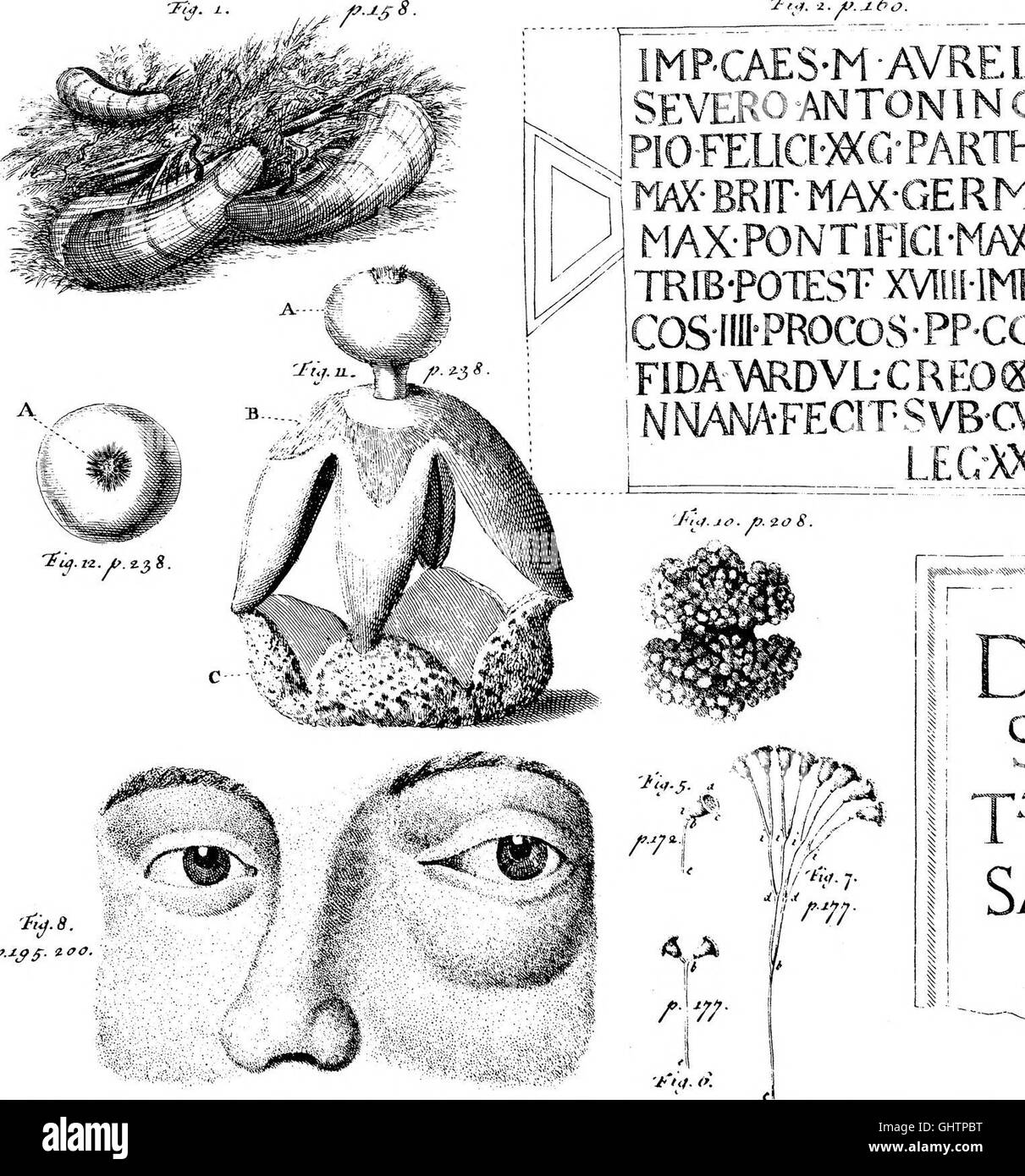 John huxham Black and White Stock Photos & Images - Alamy