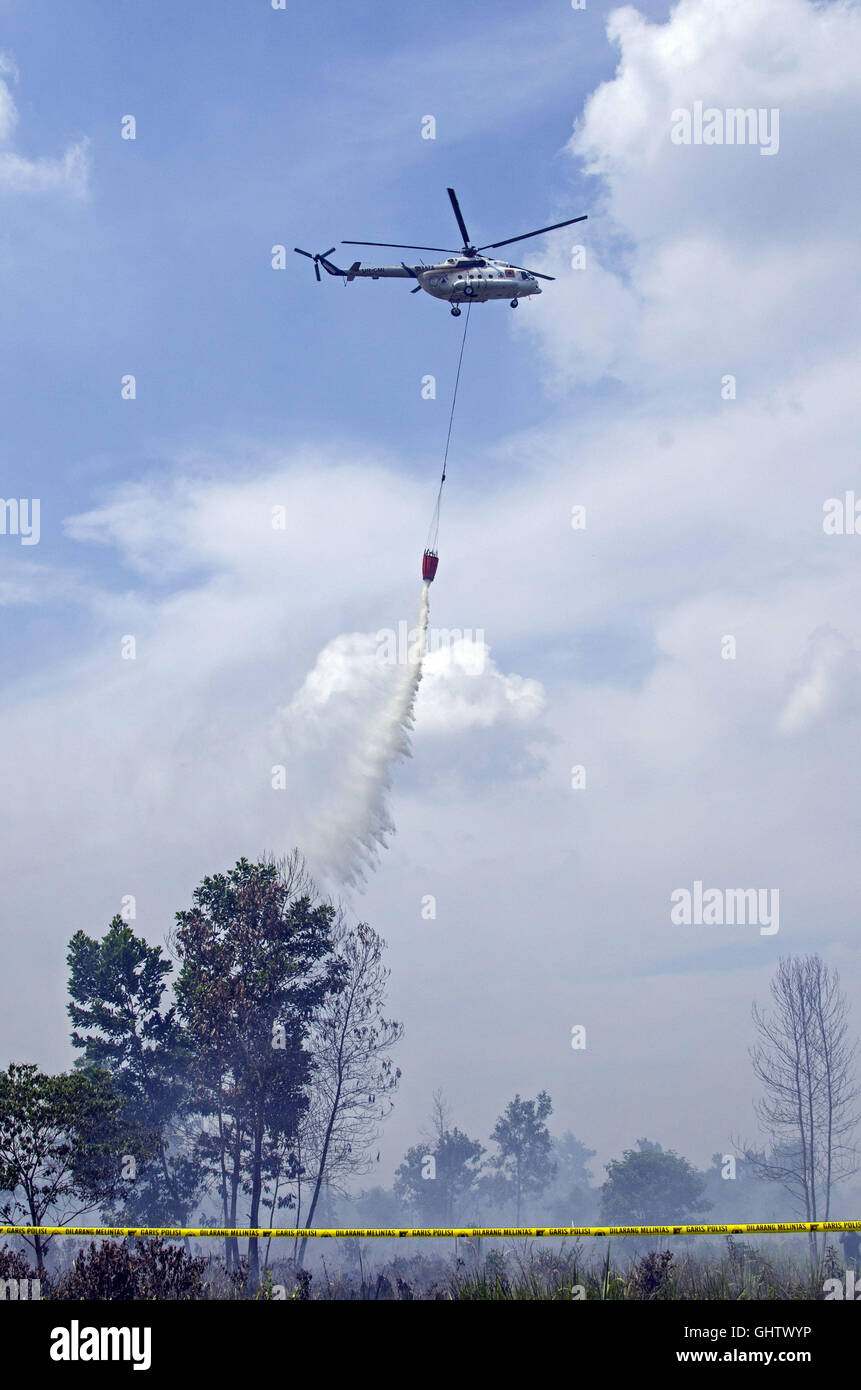 Water bomb forest fire hi-res stock photography and images - Alamy