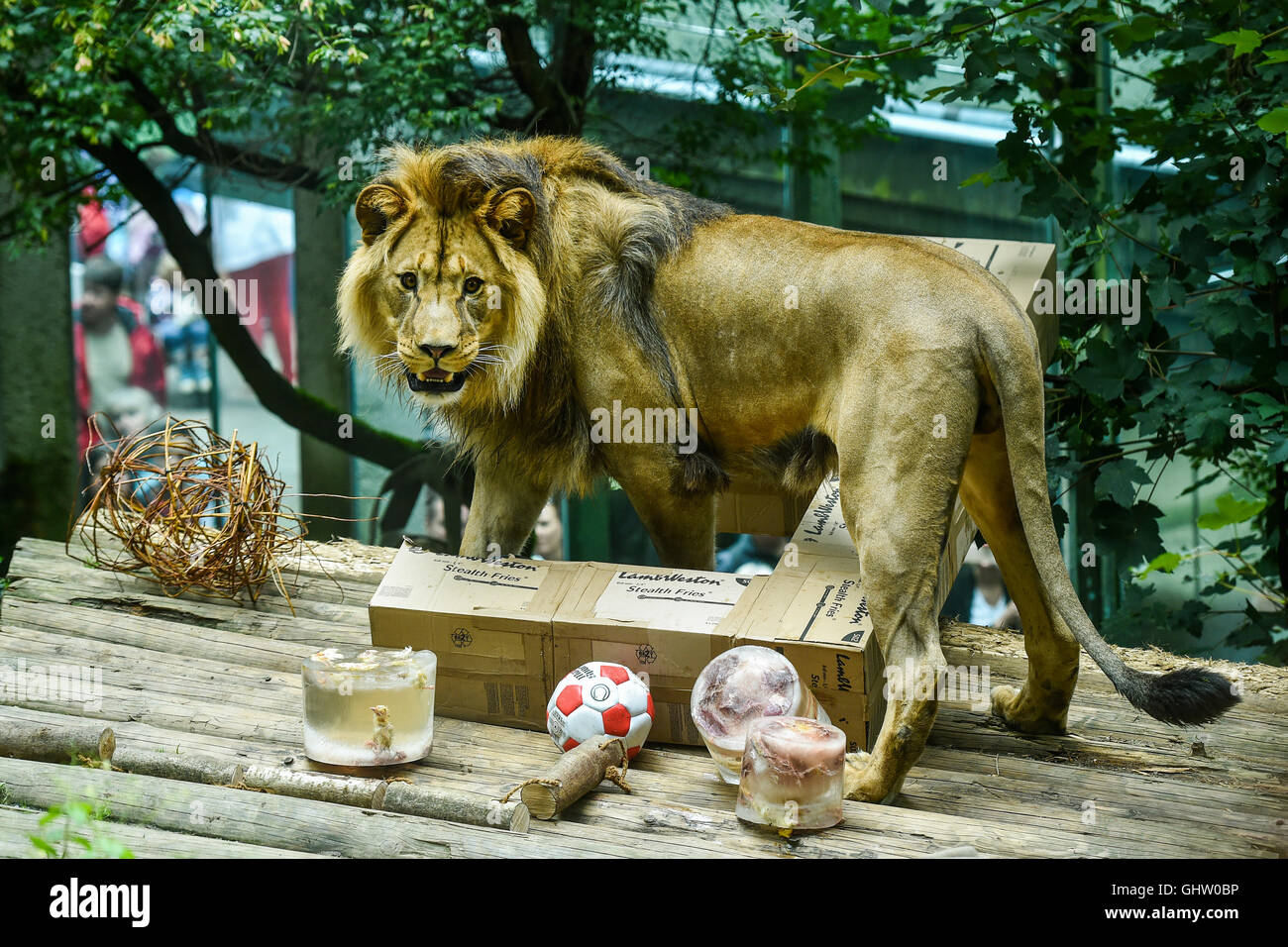 Liberec zoo hi-res stock photography and images - Alamy