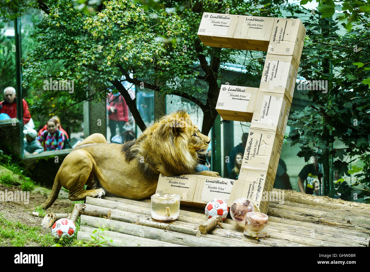 Which should be in boxes and frozen photo hi-res stock photography and ...