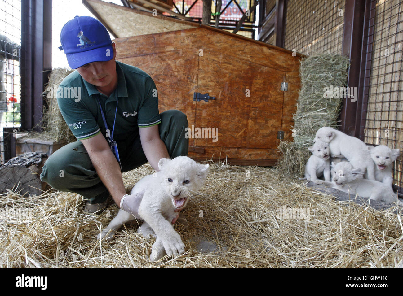 Male zookeeper hi-res stock photography and images - Alamy
