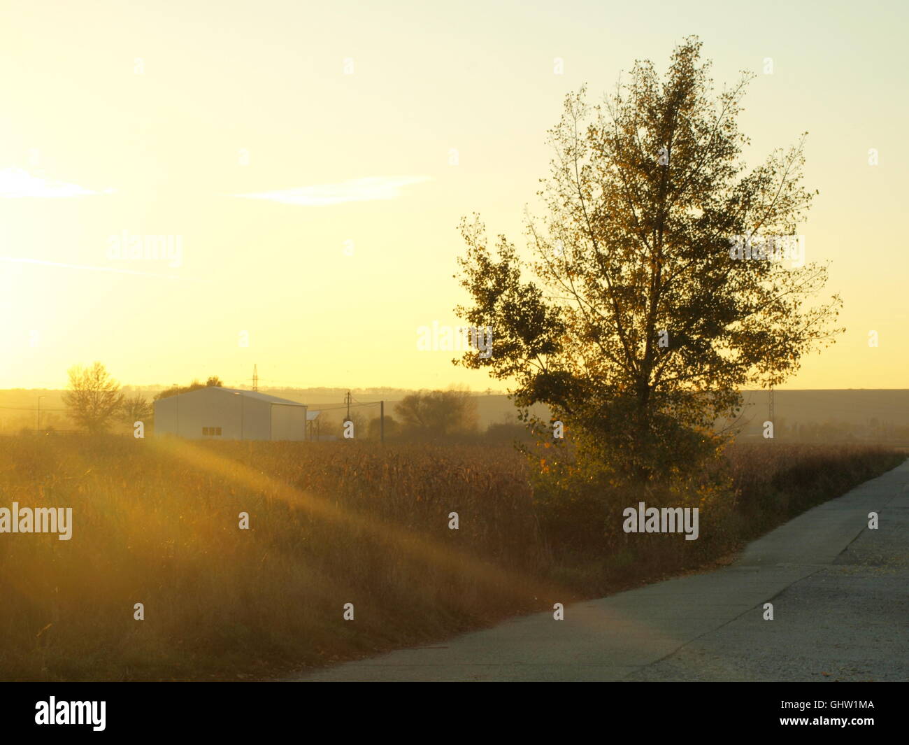 field, country, sunset, sunshine Stock Photo - Alamy