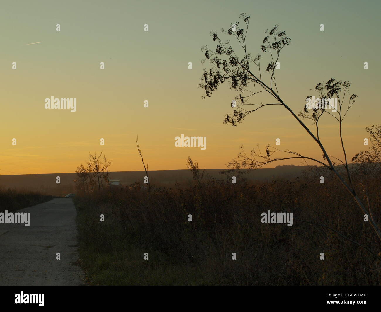 field, country, sunset, sunshine Stock Photo - Alamy