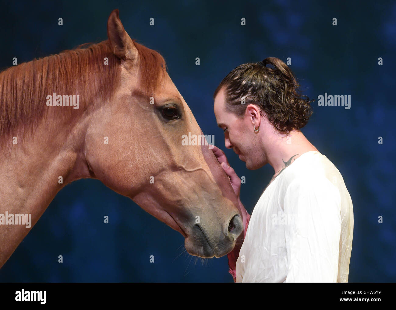 Beijing, China. 11th Aug, 2016. A rider touches the horse during the ...