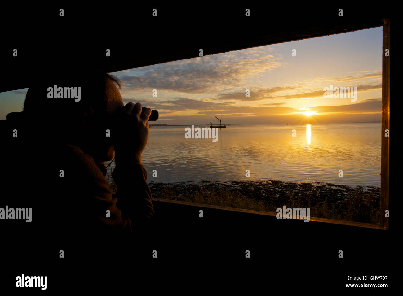 Swale estuary birds hi-res stock photography and images - Alamy