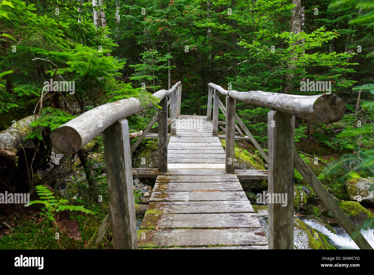 The Sanders Bridge along the Randolph Path in Low and Burbank's Grant ...