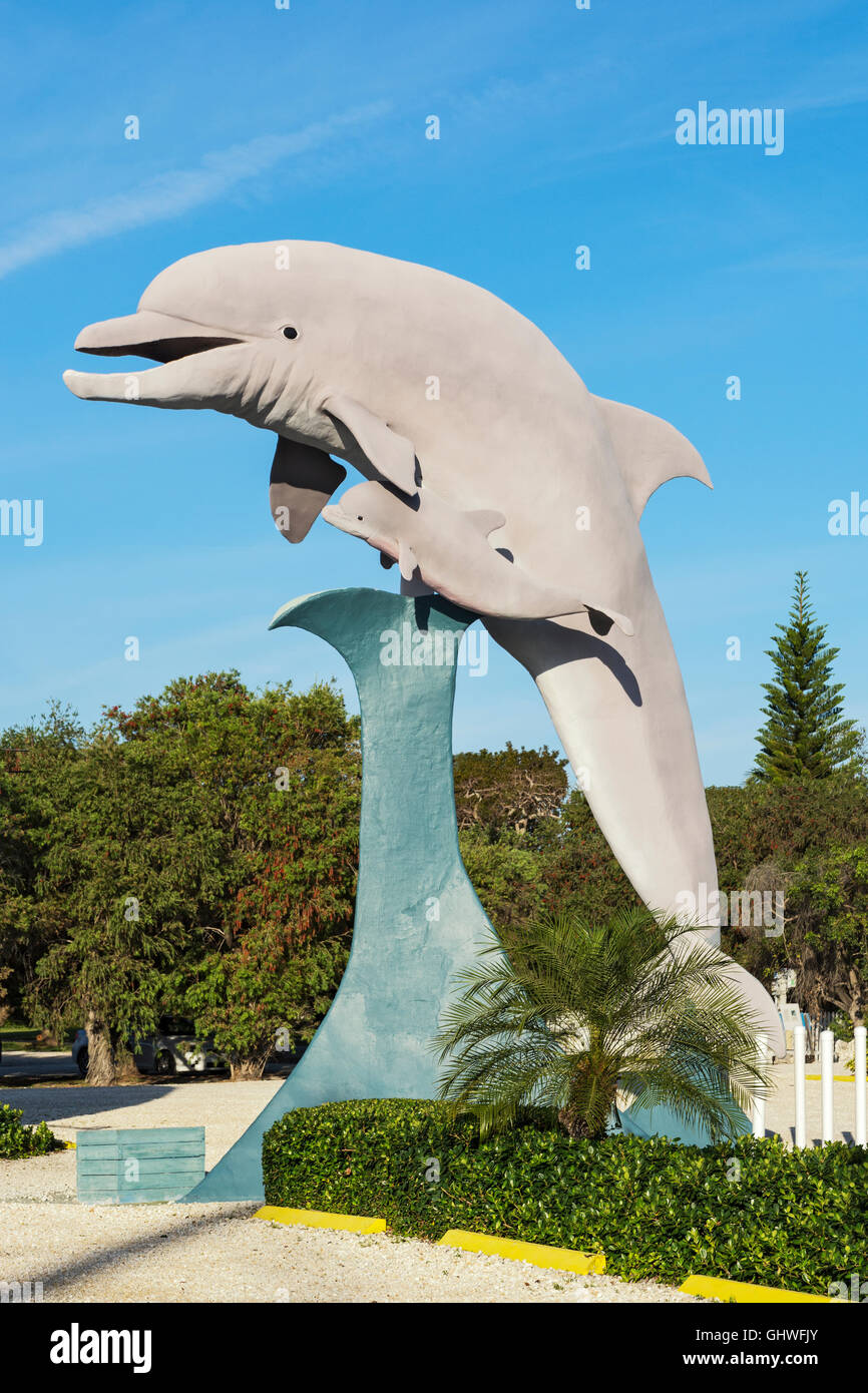 Dolphin research centre grassy key hi-res stock photography and images ...