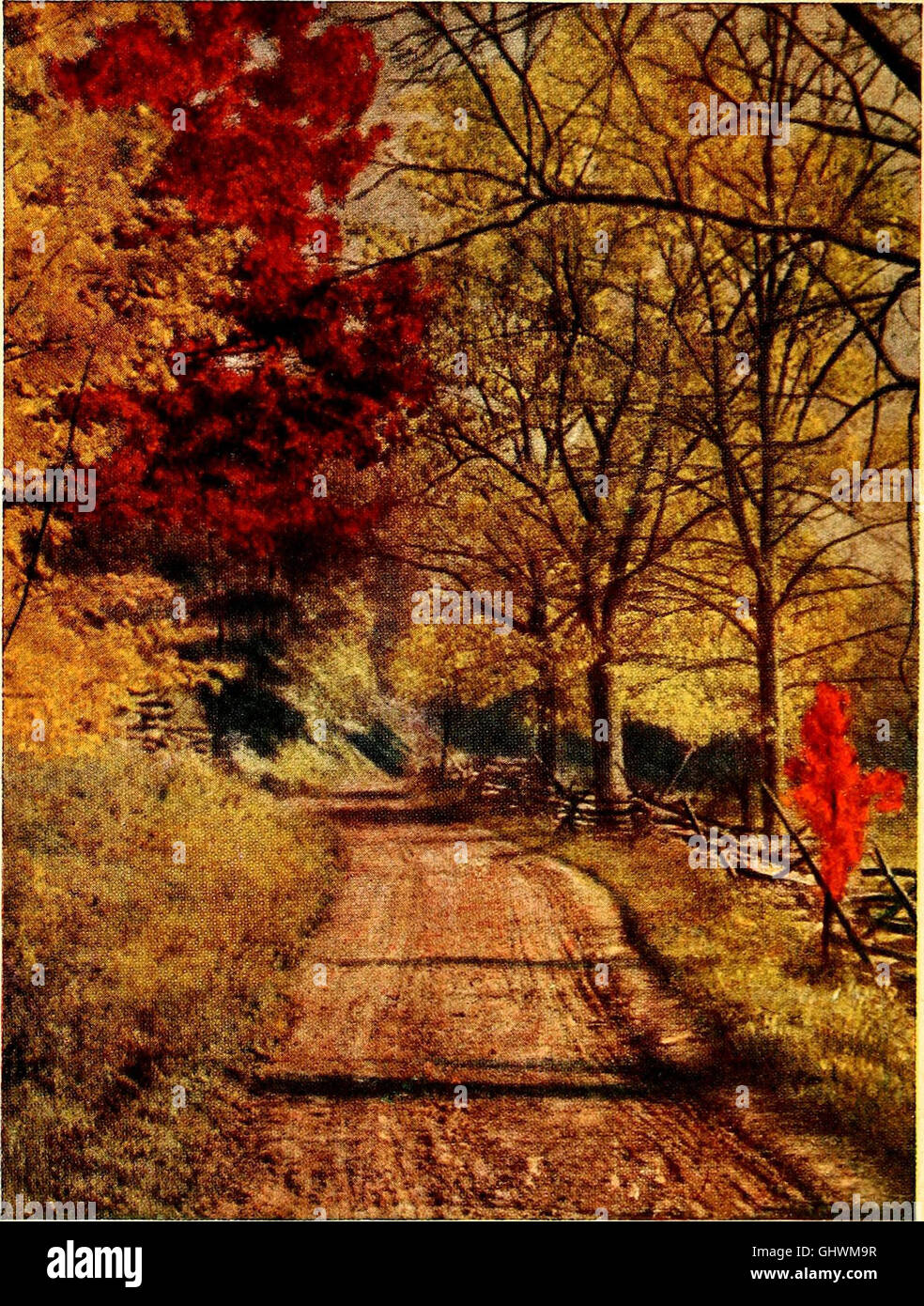 This 1909 book introduces children to trees, offering simple studies that explore tree species ...