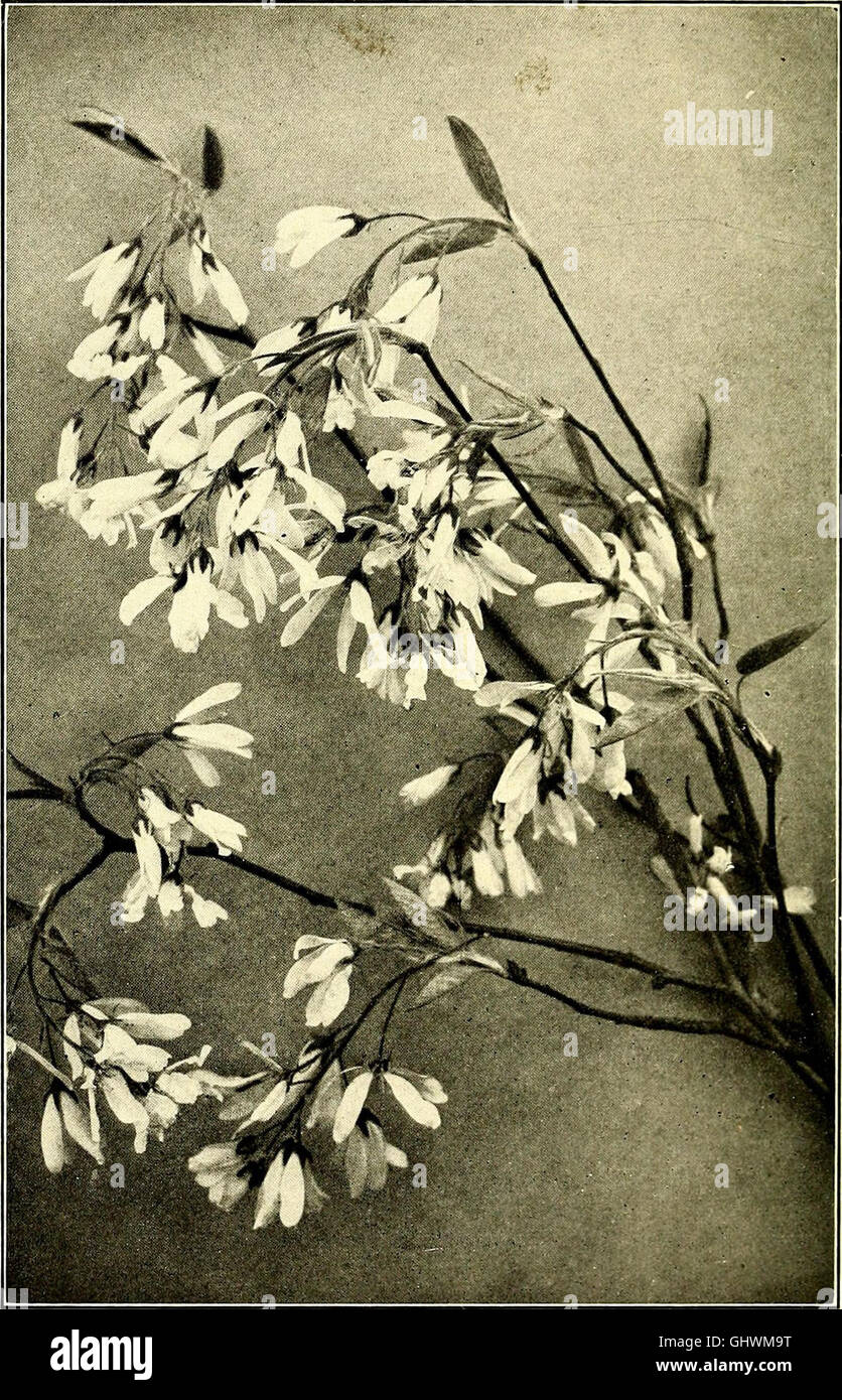 This 1909 publication is an educational guide that introduces children ...