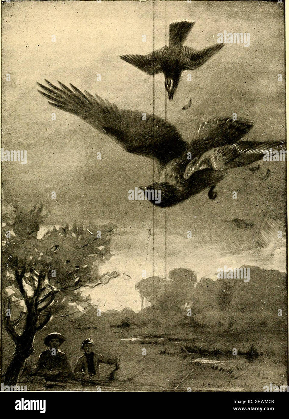 Two little savages - being the adventures of two boys who lived as ...