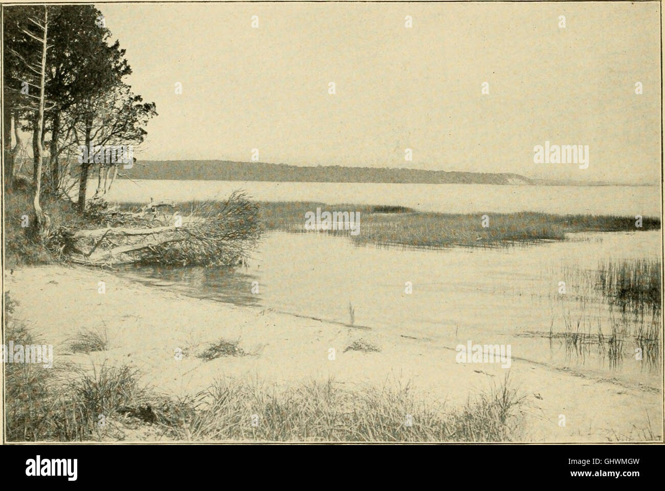 A 1901 collection of camera sketches showcasing unique scenes and ...